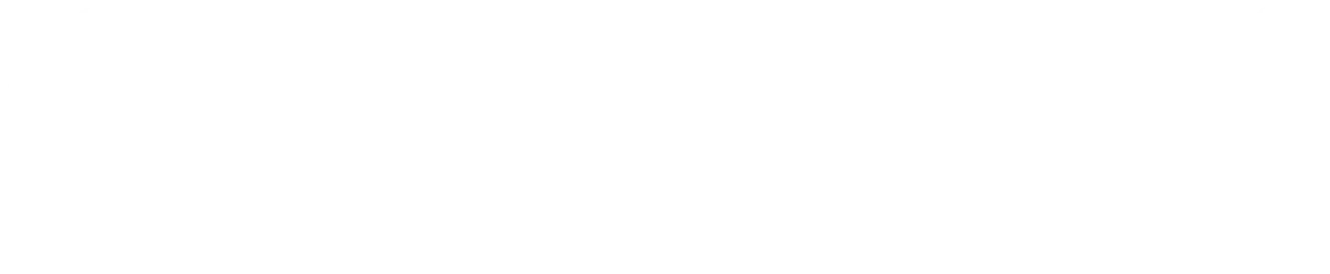 OMNIS - Megapixel